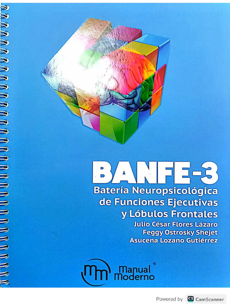 Banfe 3 | PDF
