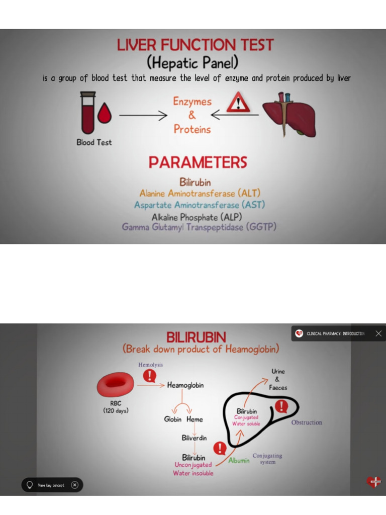 Liver Function Test | PDF