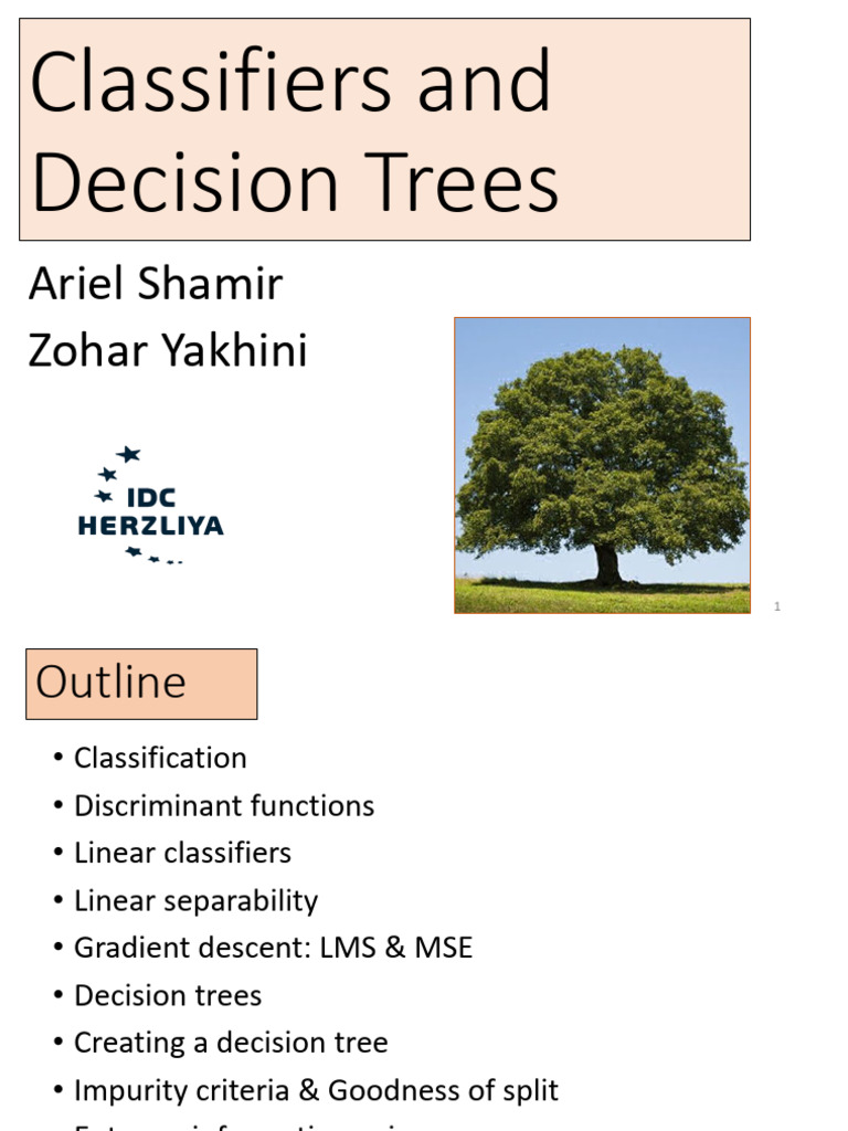 הרצאה-Classifiers and Decision Trees | PDF | Statistical Classification | Errors And Residuals