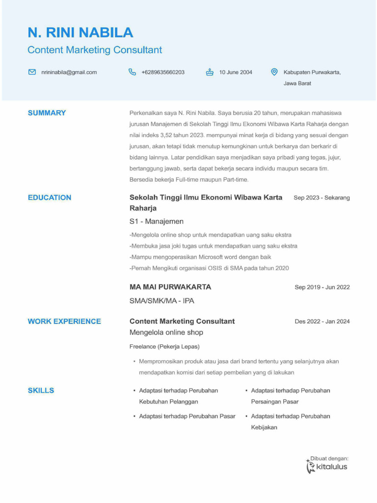CV. N Rini Nabila | PDF
