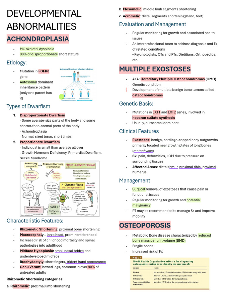 DEVELOPMENTAL ABNORMALITIES | PDF | Diseases And Disorders | Musculoskeletal System