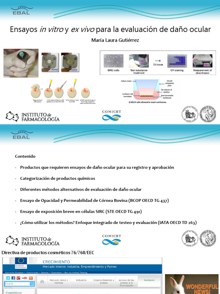 Métodos in Vitro y Ex Vivo para Evaluación de Daño Ocular - ML Gutiérrez | PDF | Corrosión ...