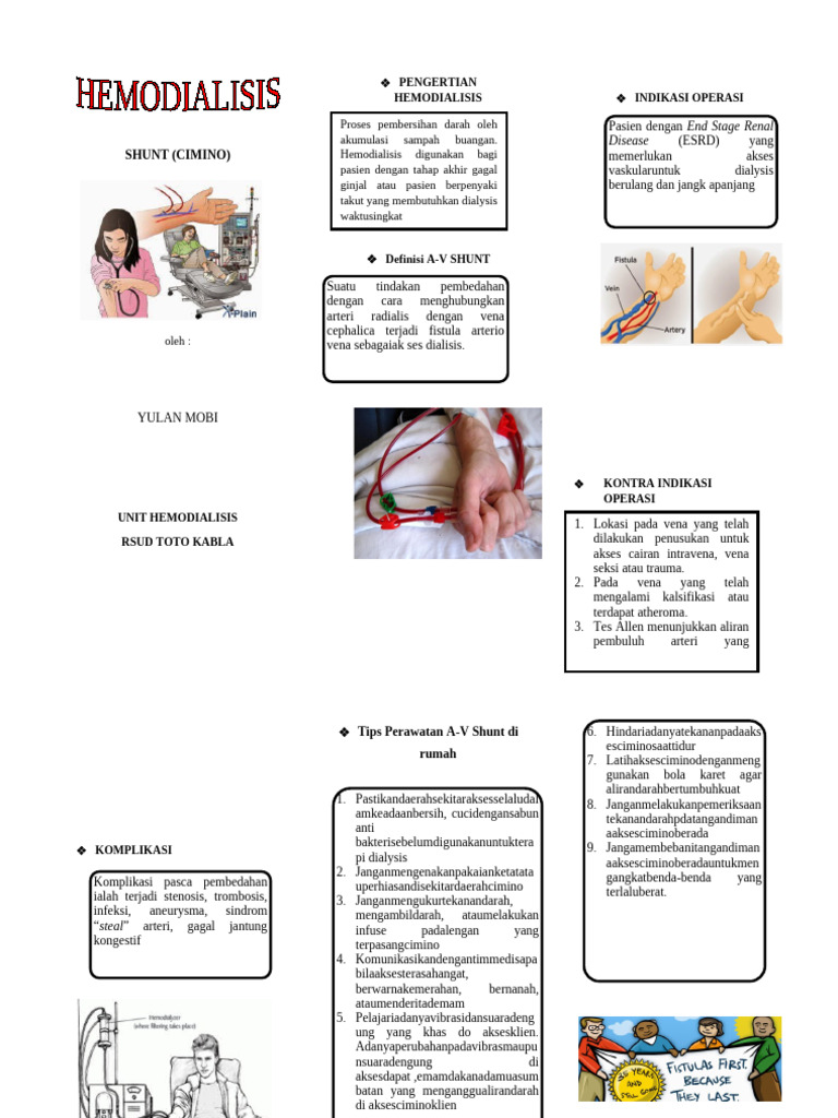 Leaflet AV Shunt | PDF