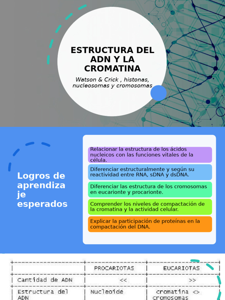 El Material Genetico Y Estructura Del Adn | PDF | Adn | Rna