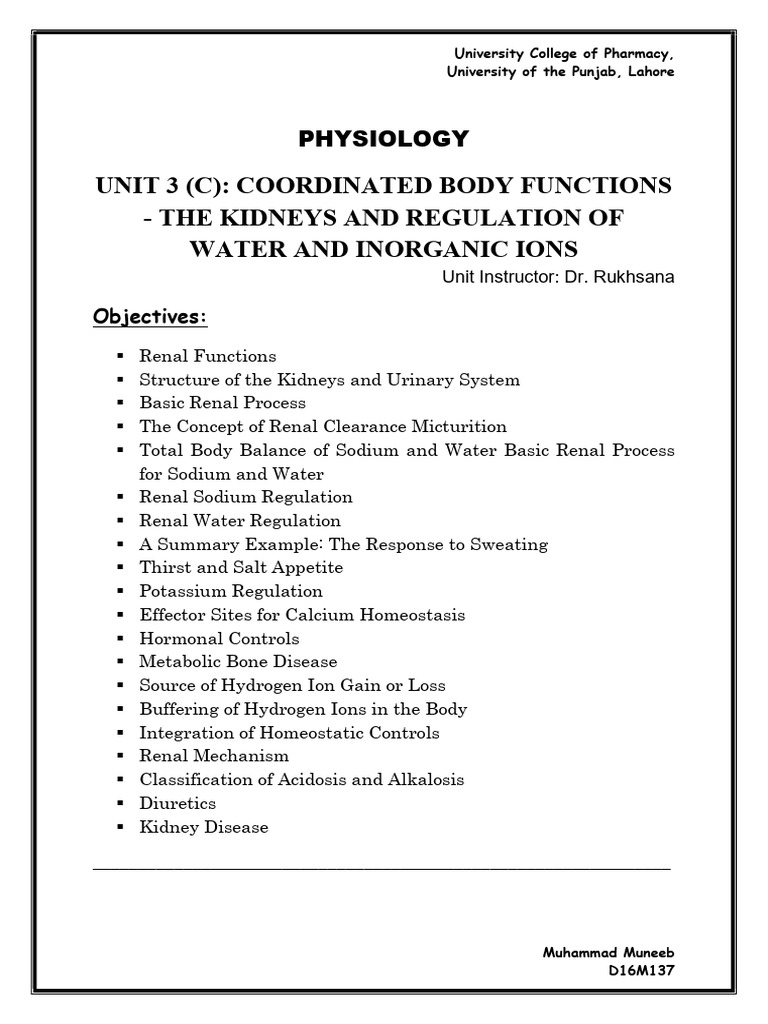 Kidney Functions and Regulation Overview | PDF | Kidney | Urinary System