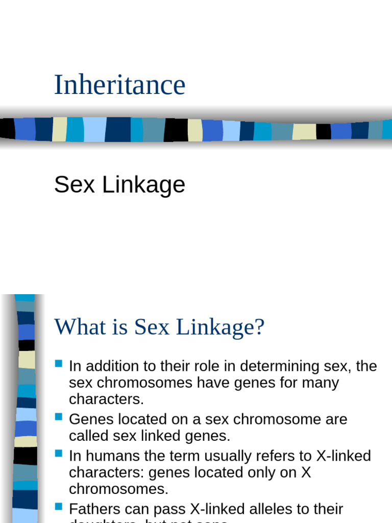 Sex Linkage | PDF
