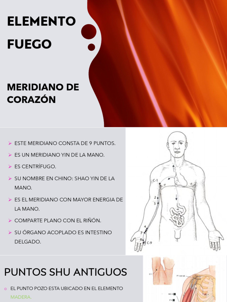 Meridiano del Corazón y sus Funciones | PDF | Corazón | Mente
