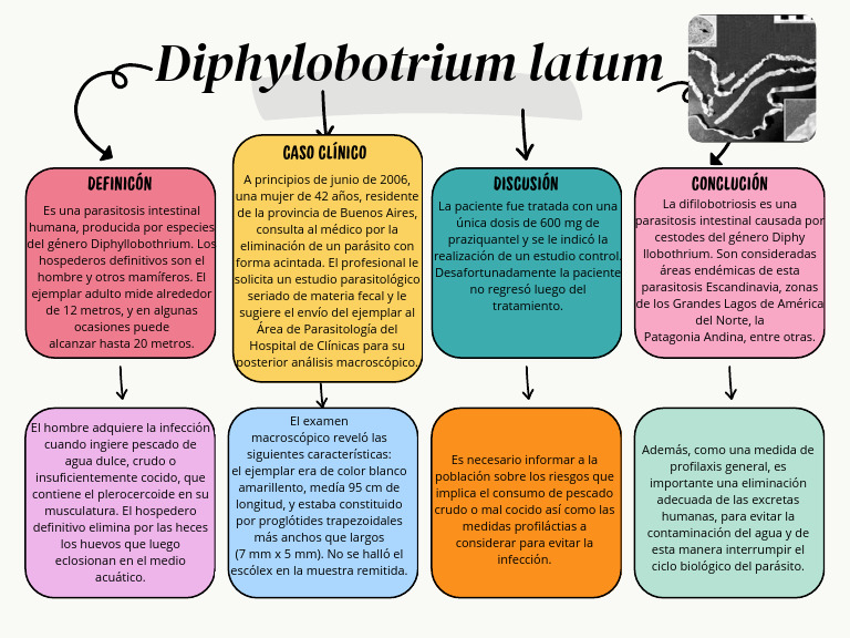 Grafico Mapa Conceptual de Diphylobotrium Latum | PDF | Heces ...