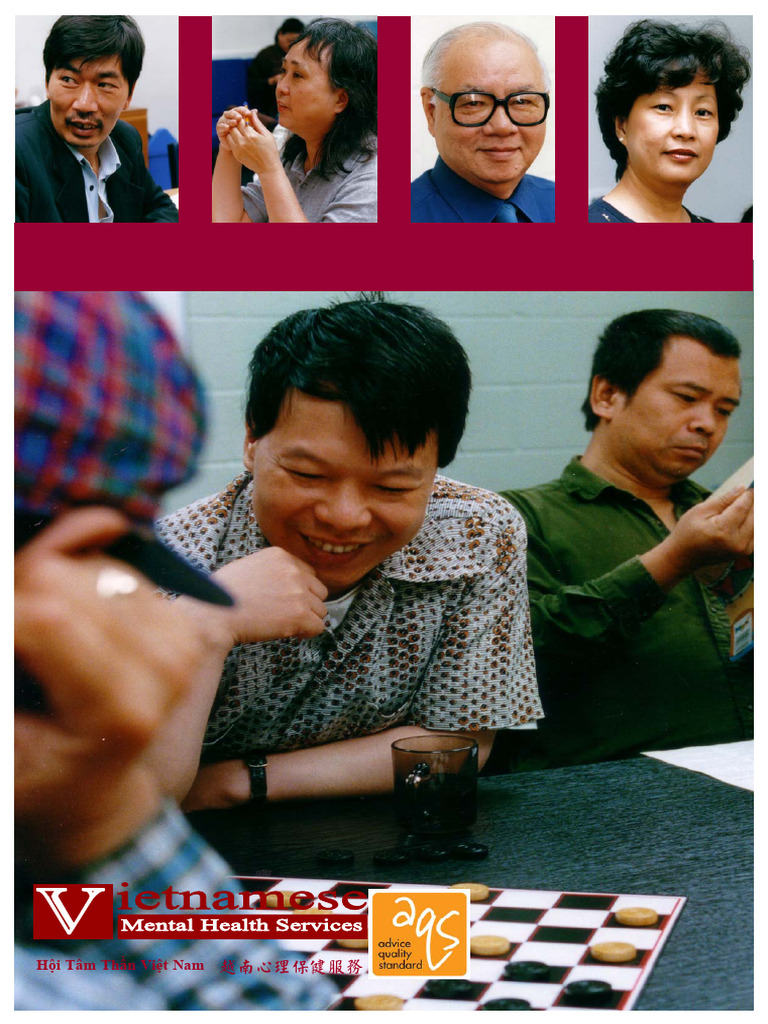 Vietnamese Mental Health Services Overview | PDF