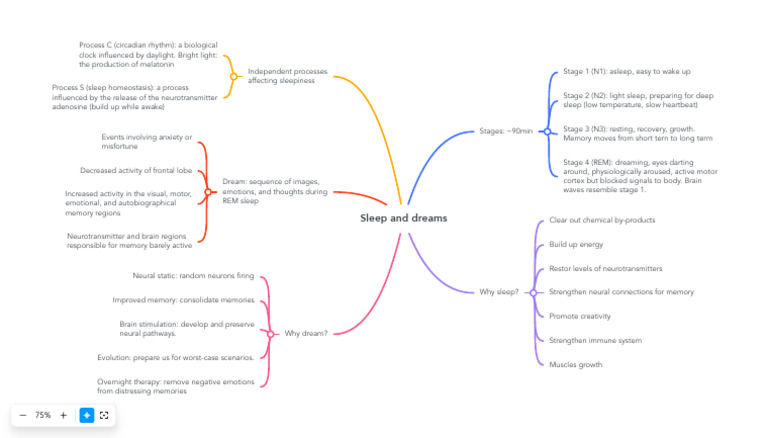 Sleep and Dreams: Processes Explained | PDF | Sleep | Rapid Eye ...