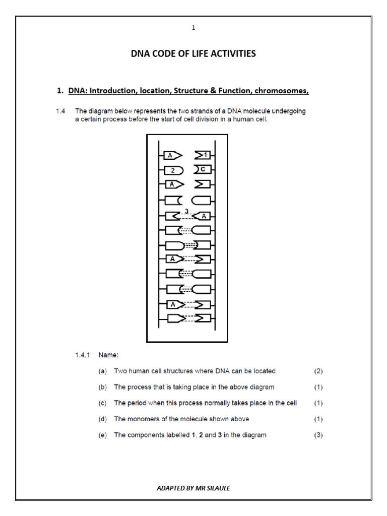 DNA Code of Life Activities Guide | PDF | Dna | Macromolecules