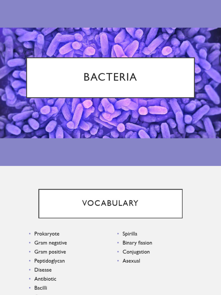 Bacteria | PDF | Bacteria | Gram Positive Bacteria