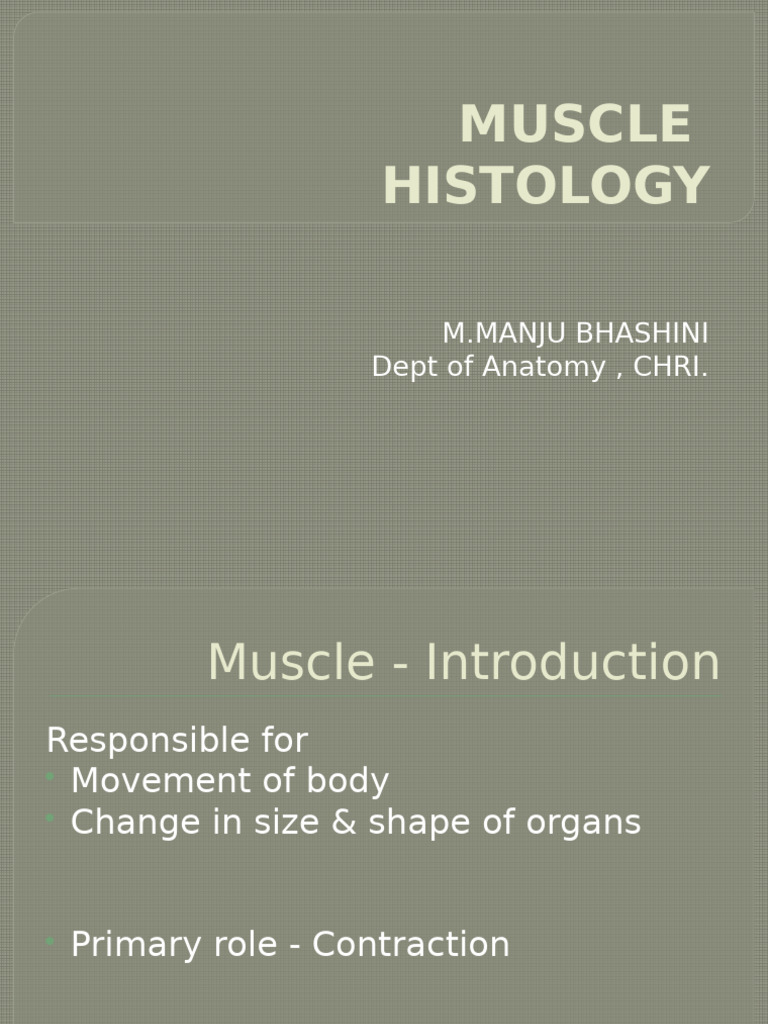 HISTOLOGYOFMUSCLE | PDF | Skeletal Muscle | Muscle Contraction