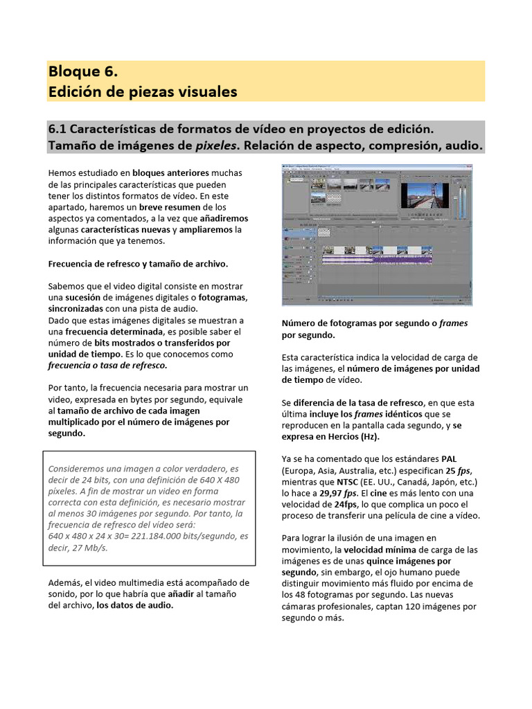 Guía de Formatos y Compresión de Video | PDF | Animación | Multimedia