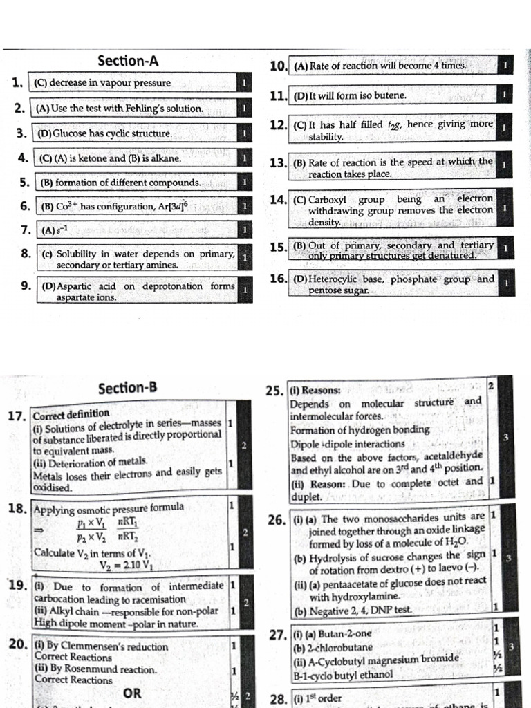 Document 6 | PDF