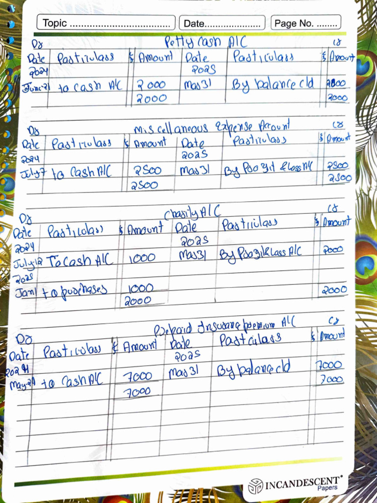 Accounts Project | PDF