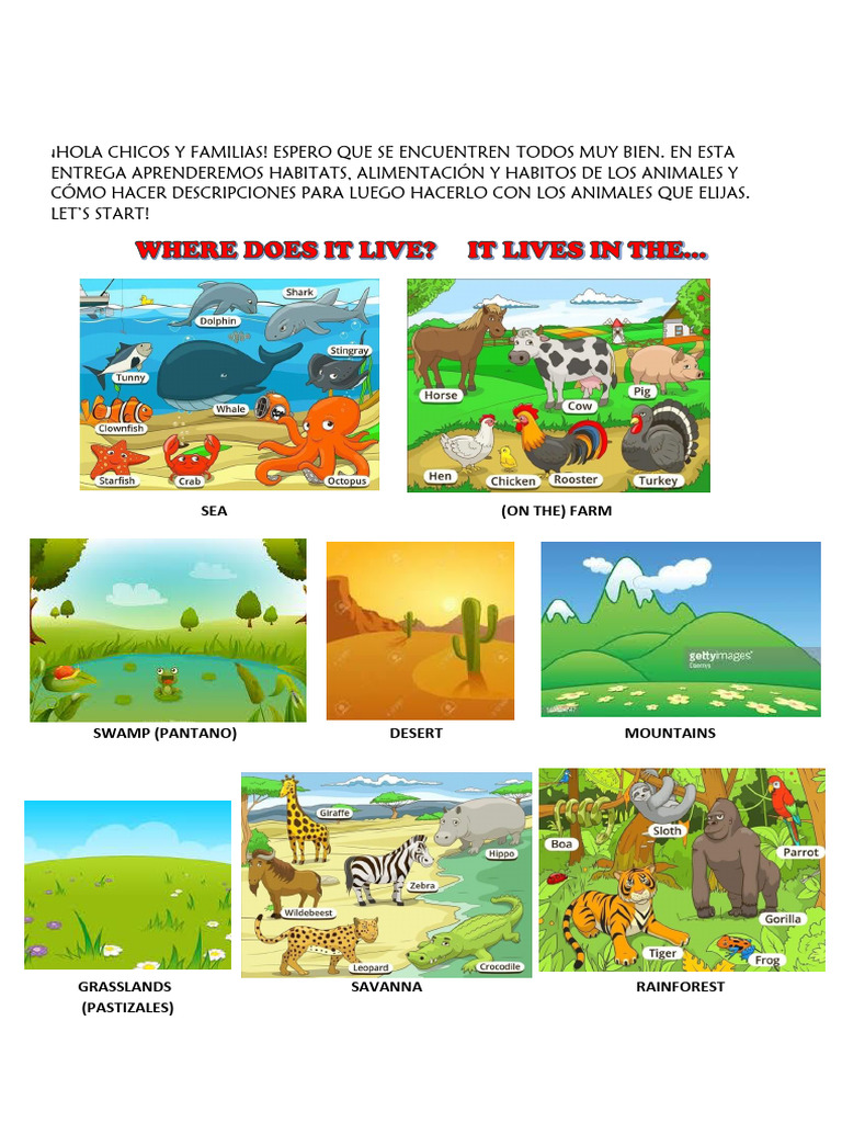 ANIMALS, Food, Habitats | PDF