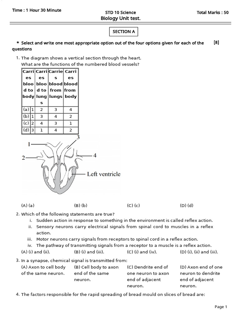 Biology Unit Test. | PDF | Seed | Axon