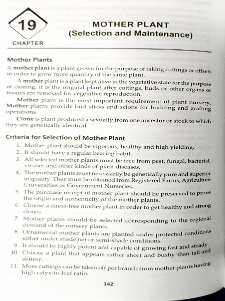 Mother Plant Selection and Care Guide | PDF | Grafting | Plants