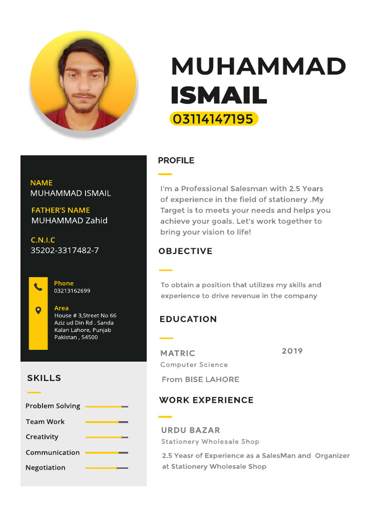 Ismail CV | PDF