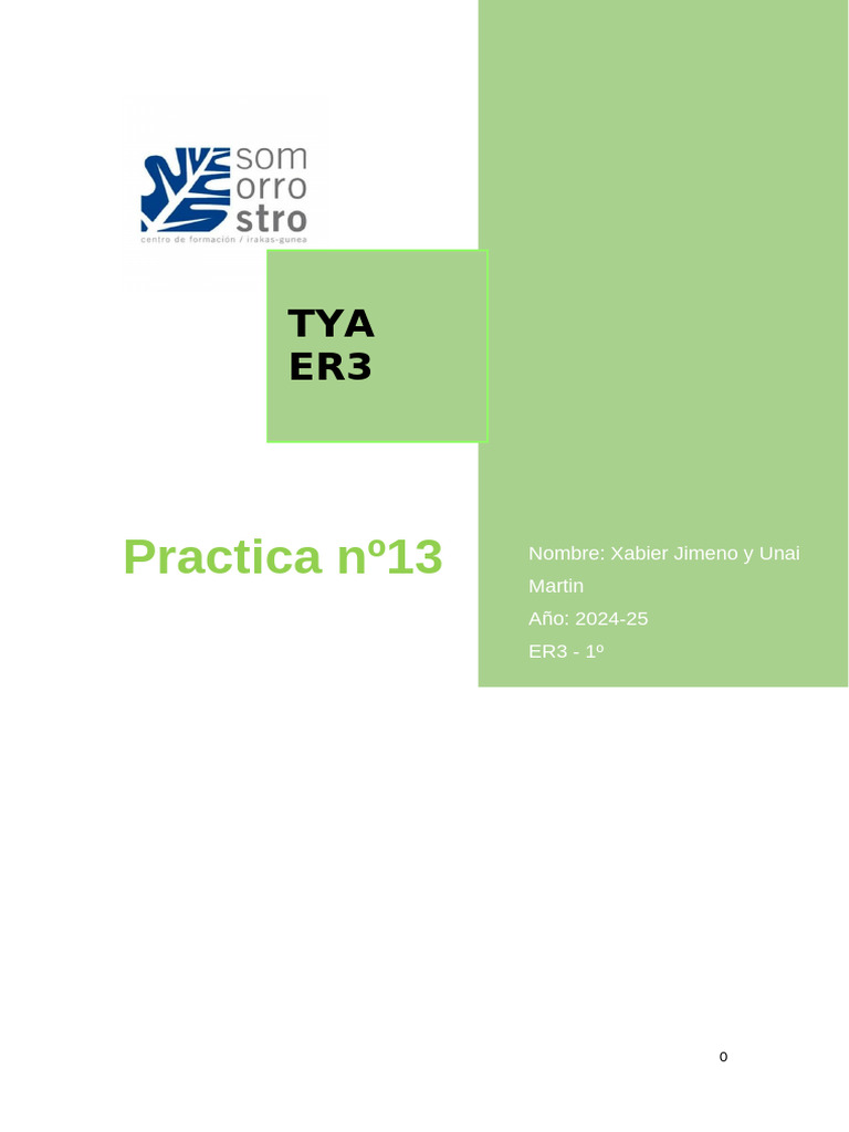 Informe 13 Tya | PDF