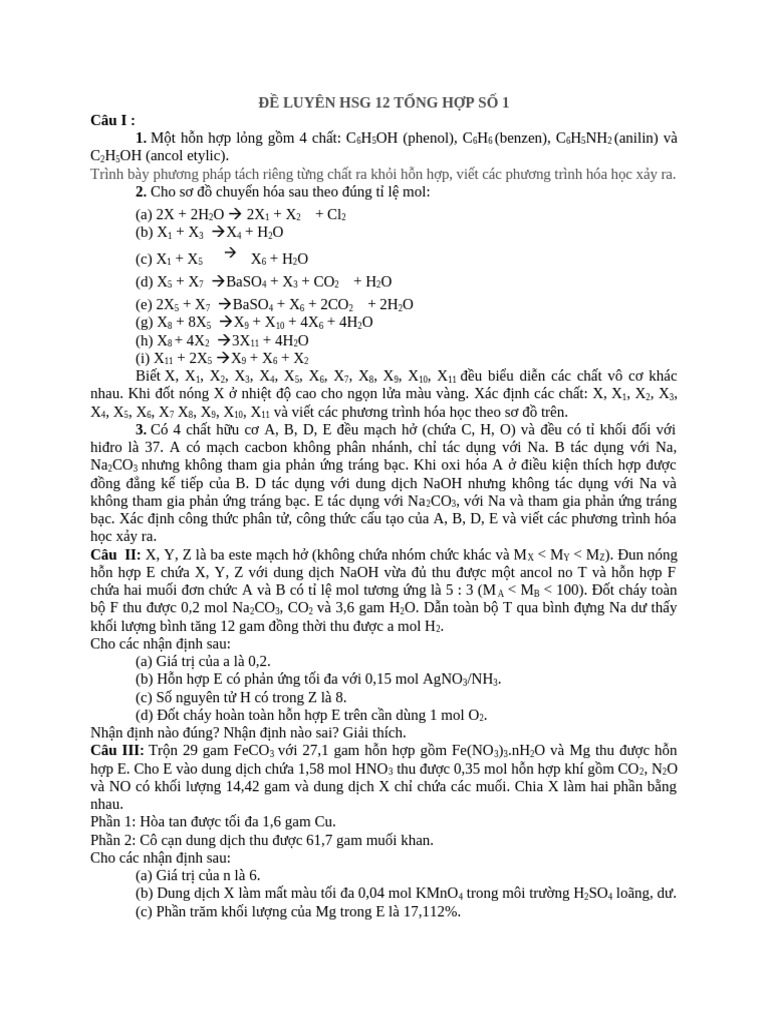 ĐỀ LUYÊN HSG 12 TỔNG HỢP SỐ 1 | PDF