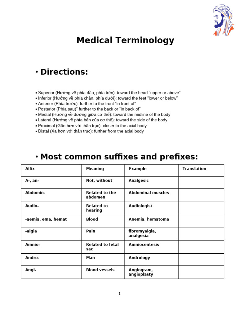 Myring/o Root Translation Guide | PDF | Heart | Myocardial Infarction