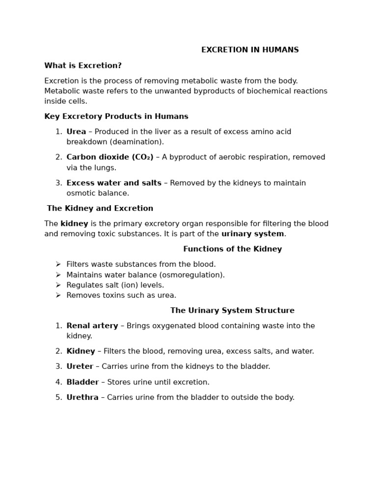 Human Excretion and Kidney Functions | PDF | Kidney | Urinary System