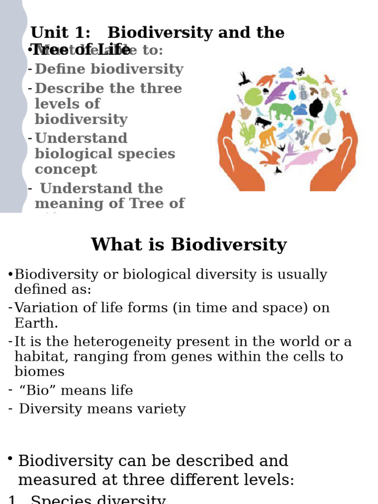 Understanding Biodiversity and Evolution | PDF | Biodiversity | Evolution
