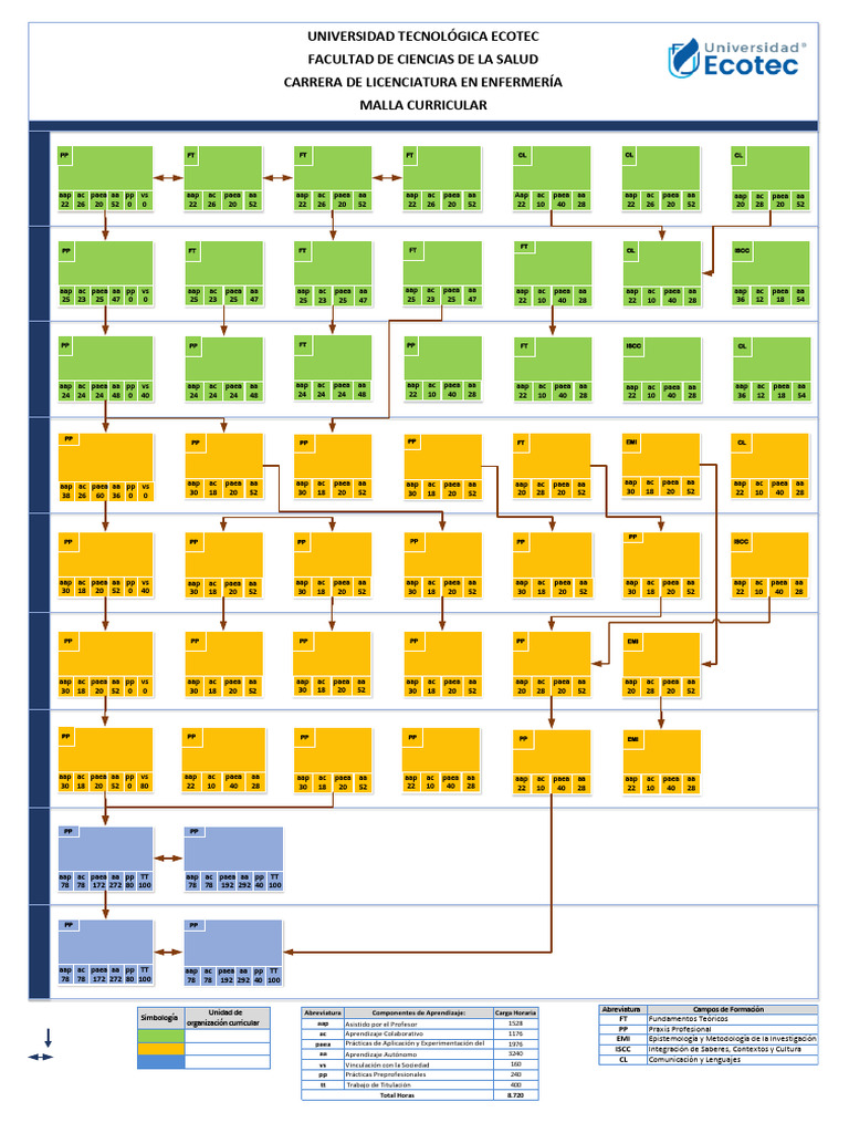 Malla Curricular Licenciatura en Enfermeria | PDF | Cuidado de la salud | Medicina