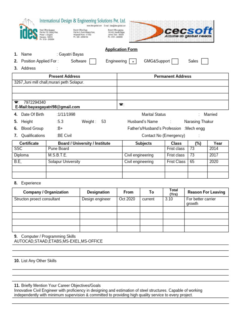 Civil Engineer Job Application Form | PDF | Engineering | Business