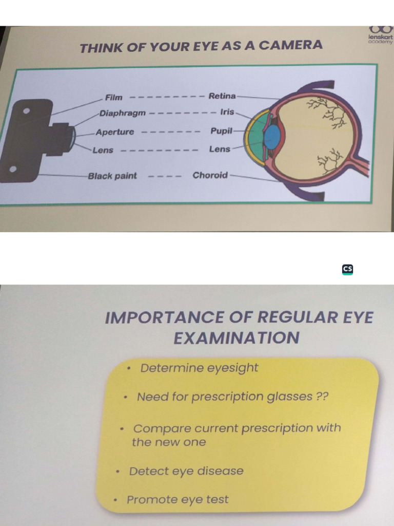 Optometrist PDF | PDF