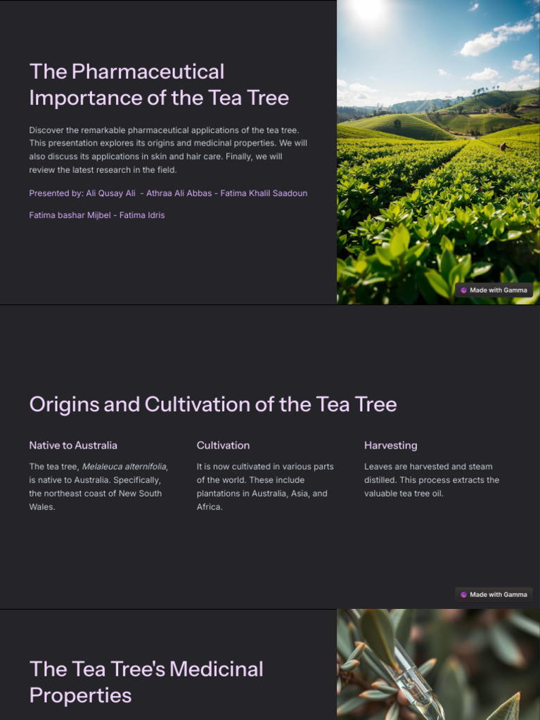 Tea Tree Oil: Medicinal Uses & Benefits | PDF | Diseases And Disorders ...