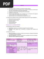 Anatomía de los Músculos Paravertebrales | PDF | Tejido suave ...