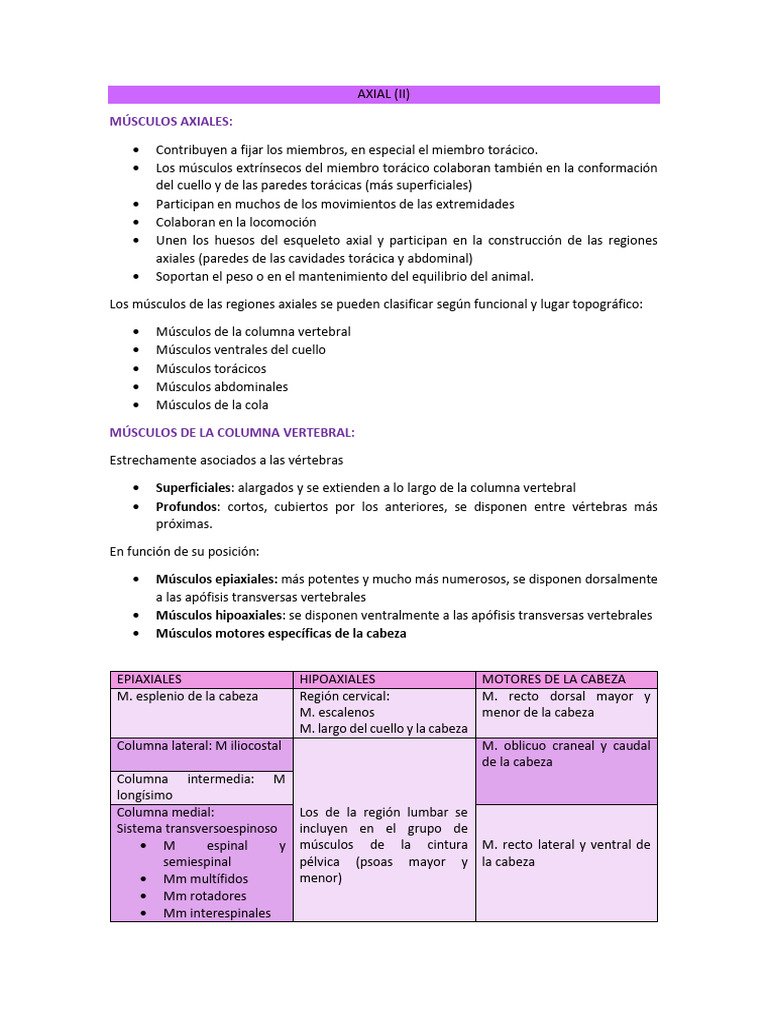 Músculos Axiales: Funciones y Clasificación | PDF | La columna ...