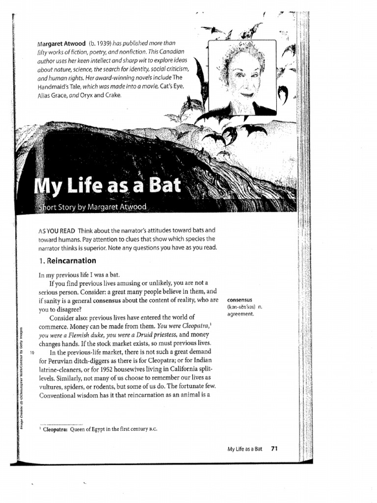 My Life As A Bat PDF | PDF