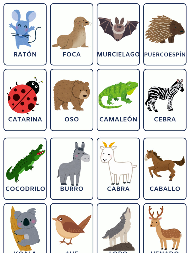 White Neutral Parts of The Body Flashcards | PDF