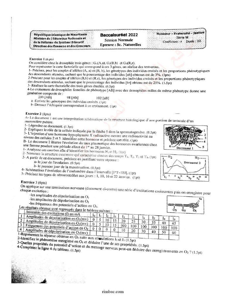 Bac C SN 2022 | PDF