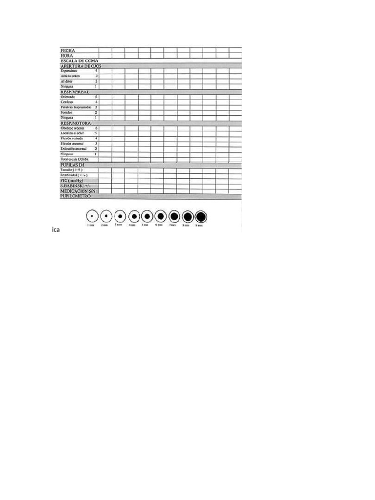 hoja neurologica | PDF