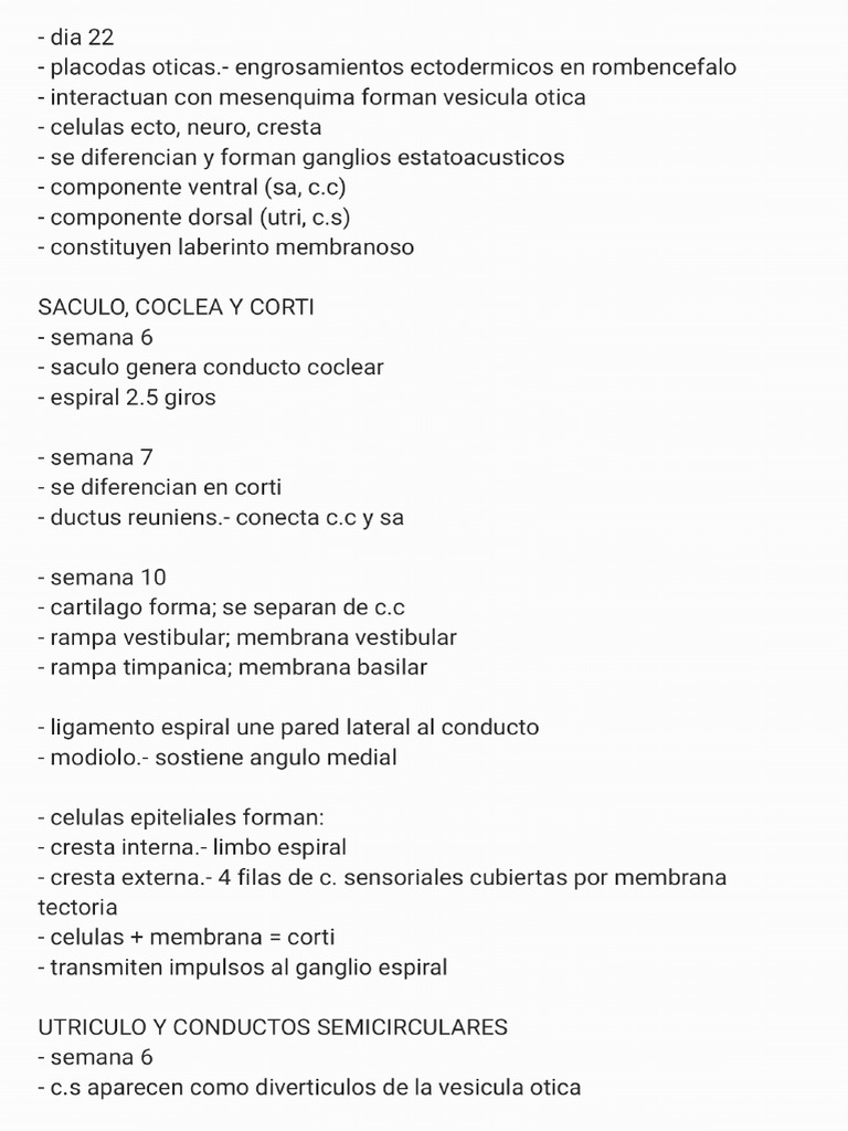 Oido 241107 165011 | PDF