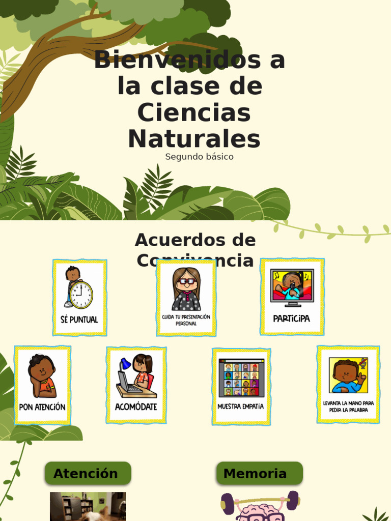 Clase ciencias naturales Vertebrados e invertebrados | PDF