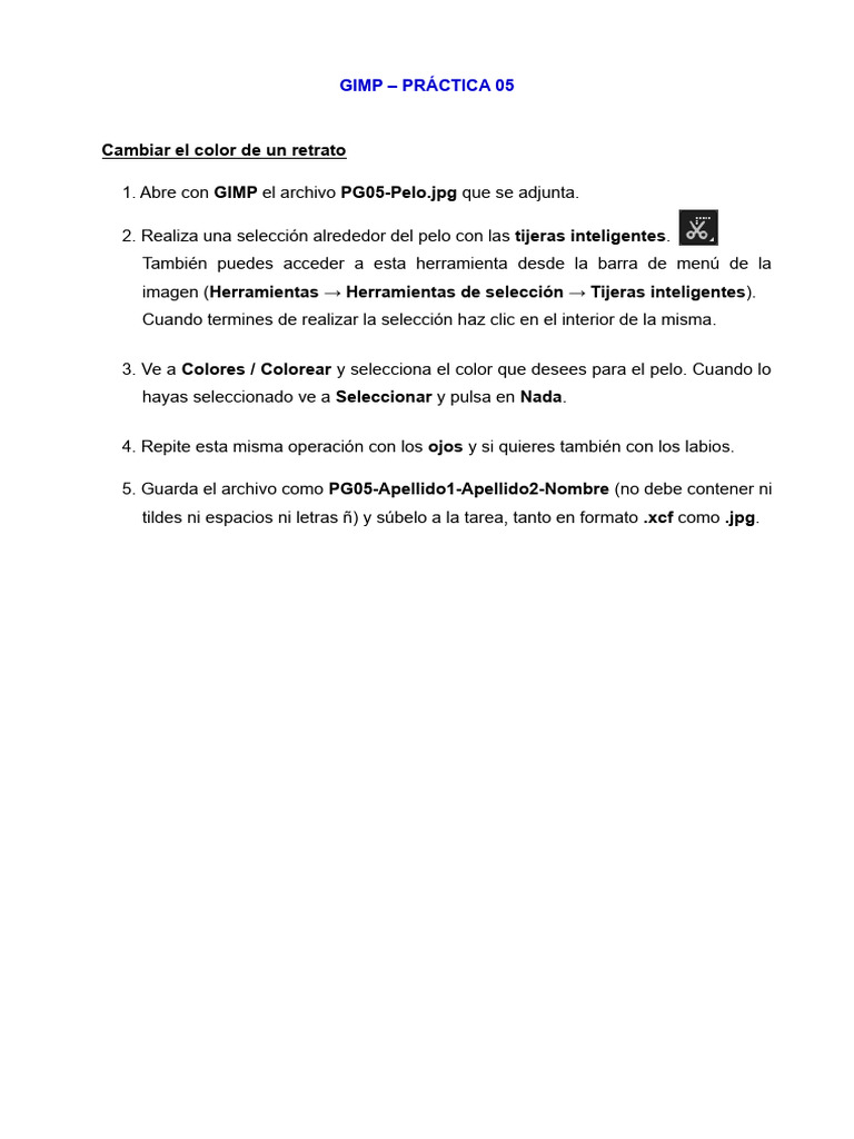 PG05 GIMP Indicaciones | PDF