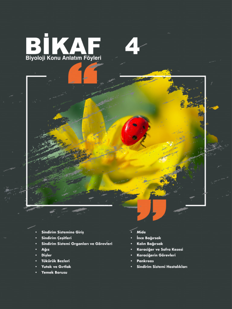 2025 Bi̇yoti̇k Ayt Kaf-4 - 241128 - 161447 | PDF