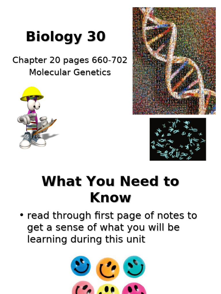Molecular Genetics: DNA Essentials | PDF | Dna Replication | Dna