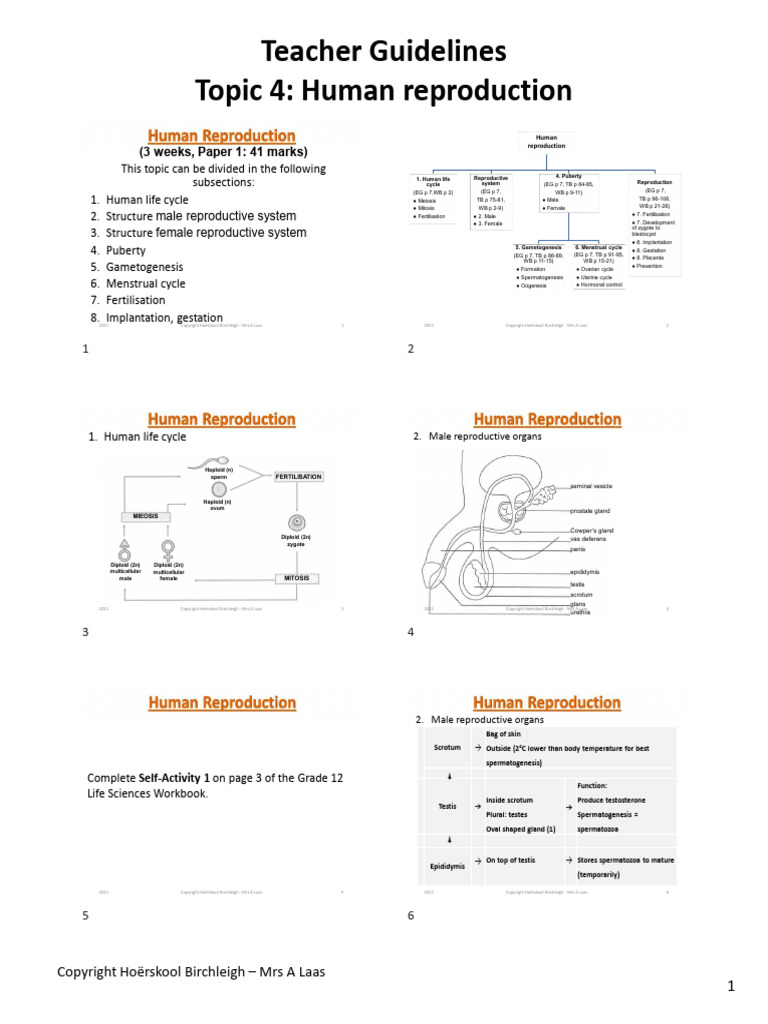 GR 12 LS Topic 4 - Human Reproduction - 2021 - TG - RL | PDF ...