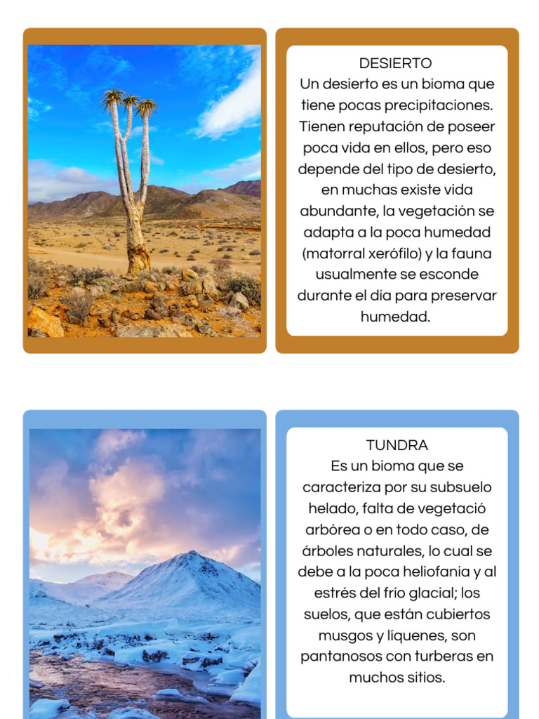 Biomas: Desierto, Tundra y Más | PDF
