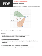 Symétrie radiale vs bilatérale expliquée | PDF | Symétrie