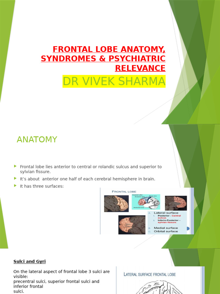 Frontal Lobe (Autosaved) | PDF | Frontal Lobe | Dementia