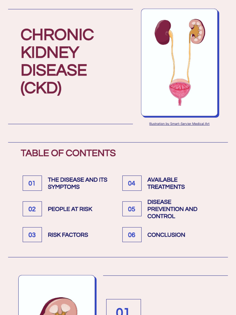 Understanding Chronic Kidney Disease (CKD) | PDF | Chronic Kidney ...