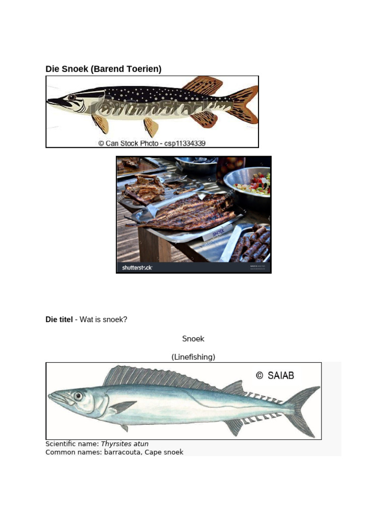 Snoek G. Geyser | PDF